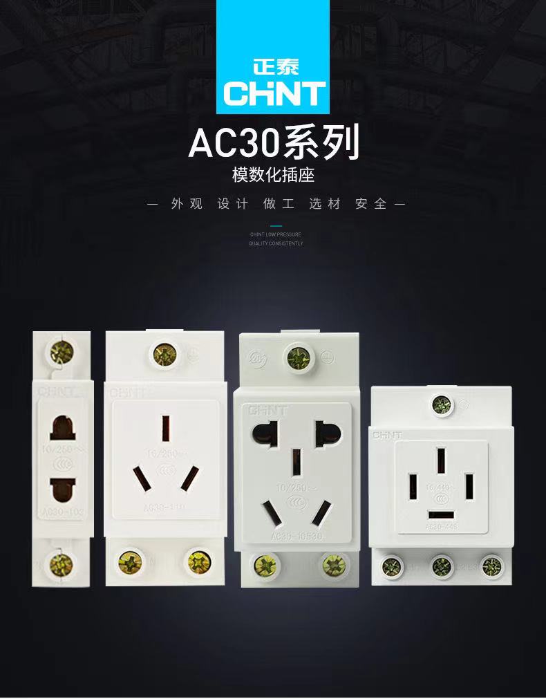 正泰 空开导轨插座 AC30-10530 10A 250V 五孔 1只