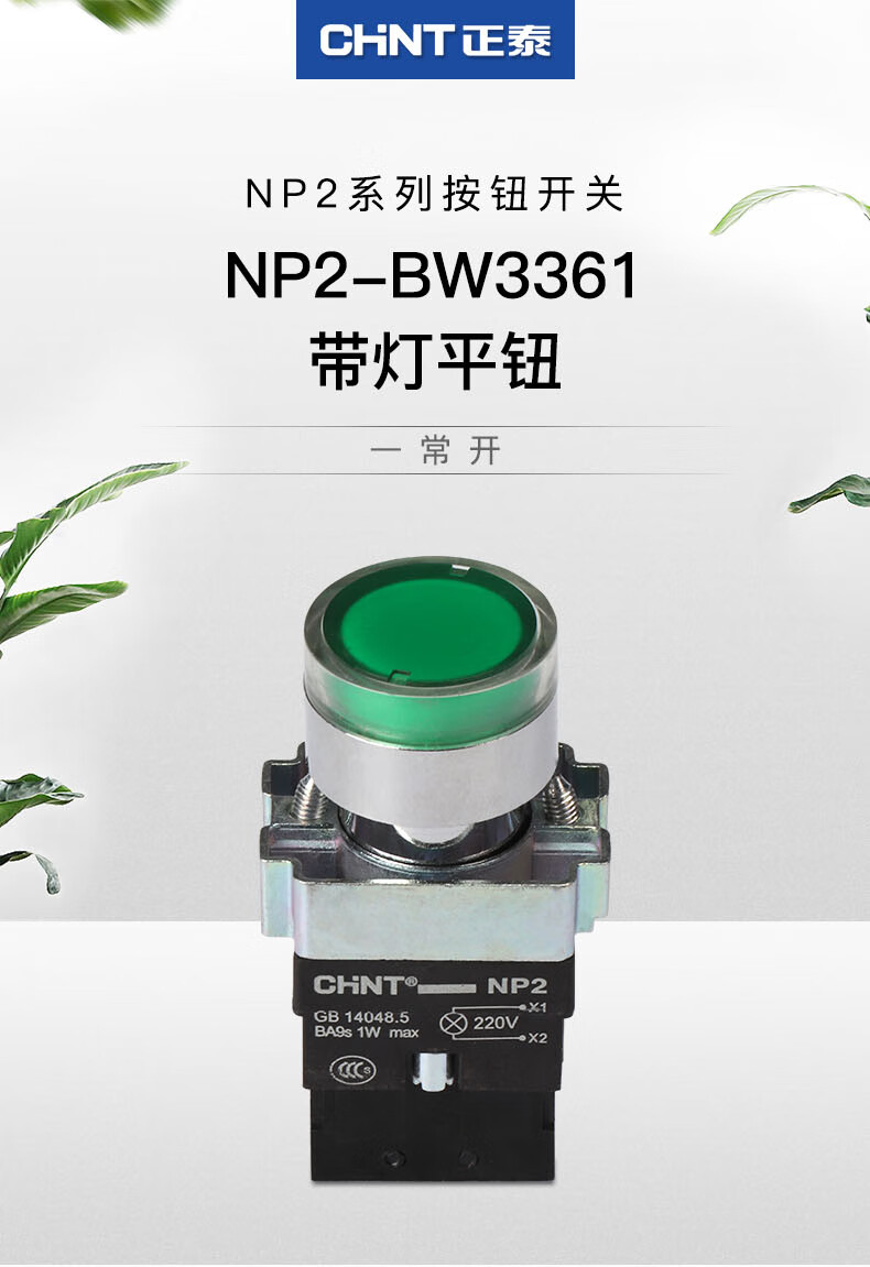 正泰（CHNT） NP2系列金属带灯平钮 NP2-BW3361-24V-LED 1个