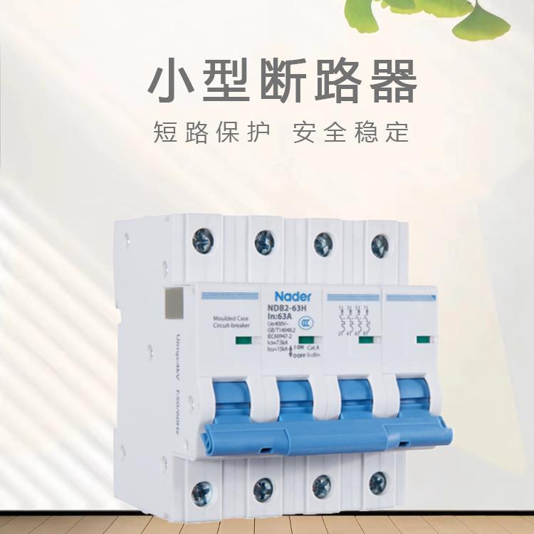 良信 微型断路器 NDB2T-63 D63/1 1个