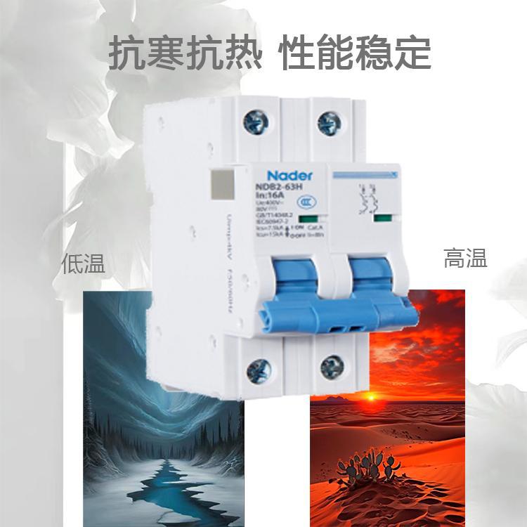 良信 NDB2系列微型断路器 NDB2T-63 D63/1 UL1077 1个